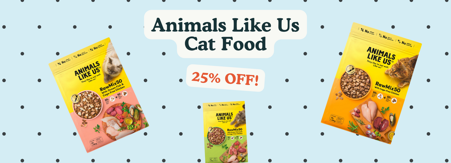 Online Cat Shop | Cat Supplies & Products Store NZ | Catati