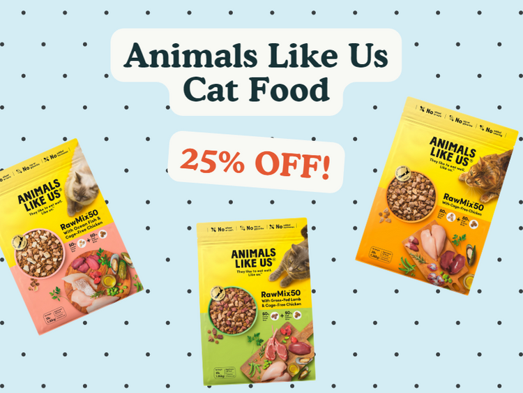 Online Cat Shop | Cat Supplies & Products Store NZ | Catati