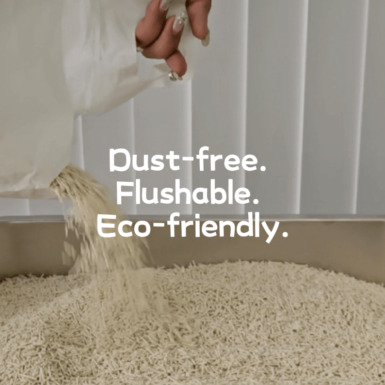 Tofu & Tapioca Cat Litter – Natural, Flushable & Clumping | Catati NZ