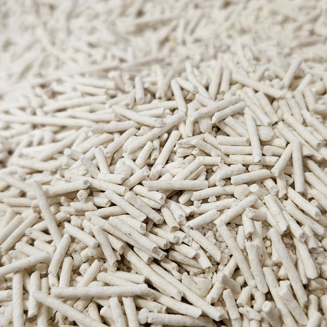 Tofu & Tapioca Cat Litter – Natural, Flushable & Clumping | Catati NZ